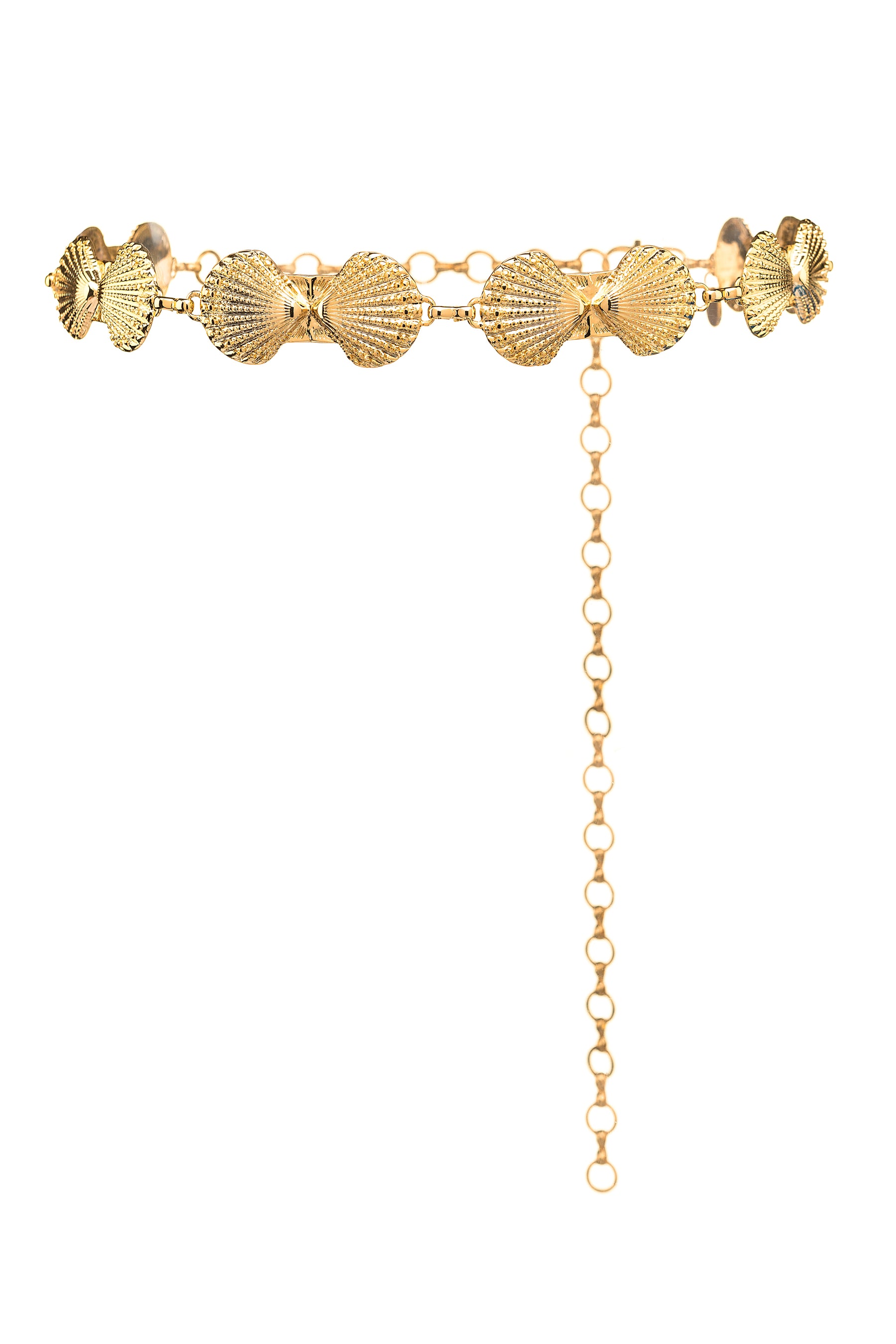 Lily clam shells gold chain belt | Black & Brown London